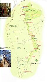 murrindindi scenic reserve campertrailers weekend